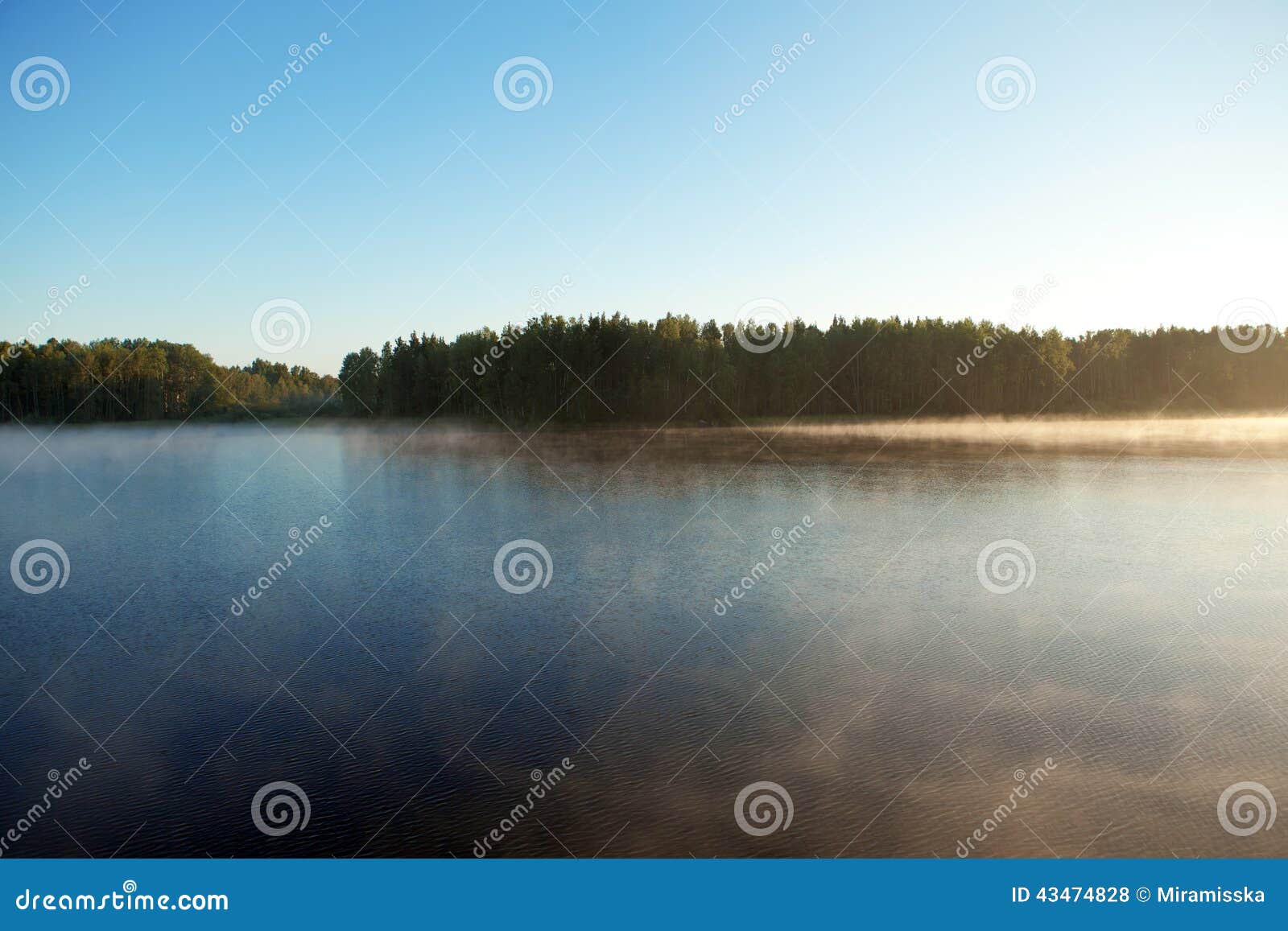 Surface Texture of a Forest Lake. Background, Surface Water. Lake ...