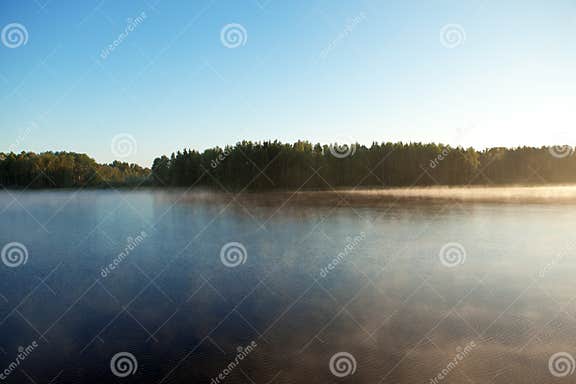 Surface Texture of a Forest Lake. Background, Surface Water. Lake ...