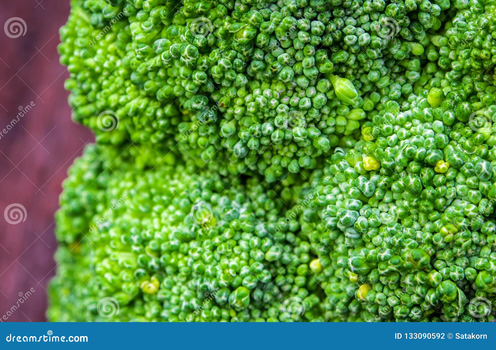 Surface Texture of Freshness Broccoli Vegetable Stock Photo - Image of ...