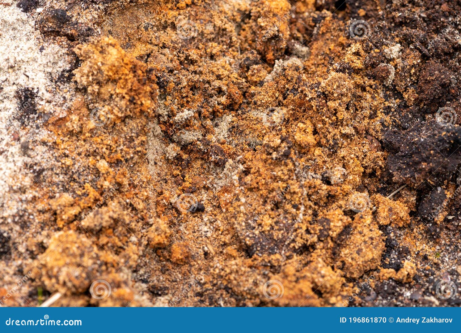 Surface Texture of a Mixture of Sand and Earth, Close-up Stock Photo ...