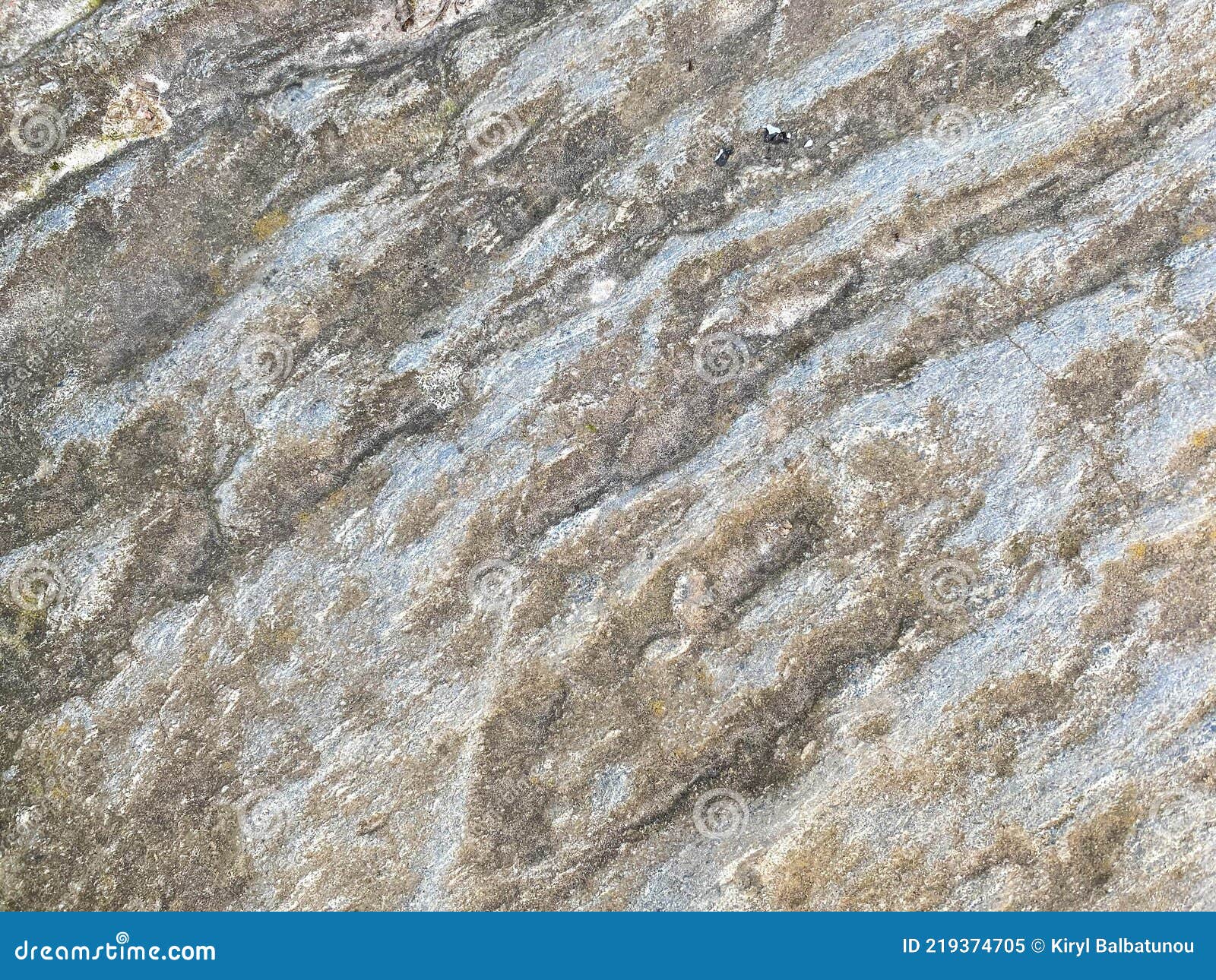 Surface Texture of Natural Building Solid Gray Strong Concrete, Rough ...