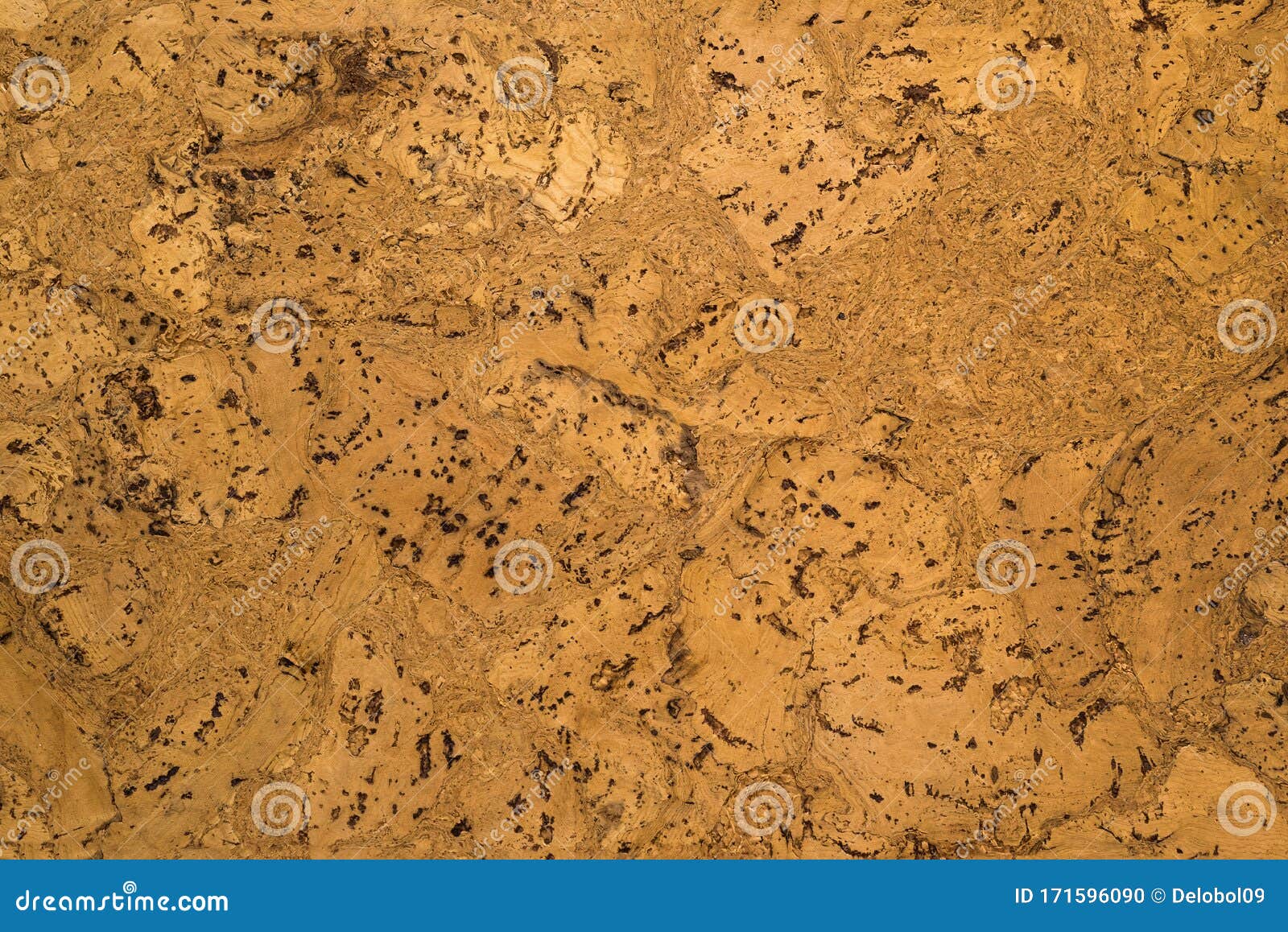 Surface Texture of Natural Cork Coating, Background Stock Photo - Image ...