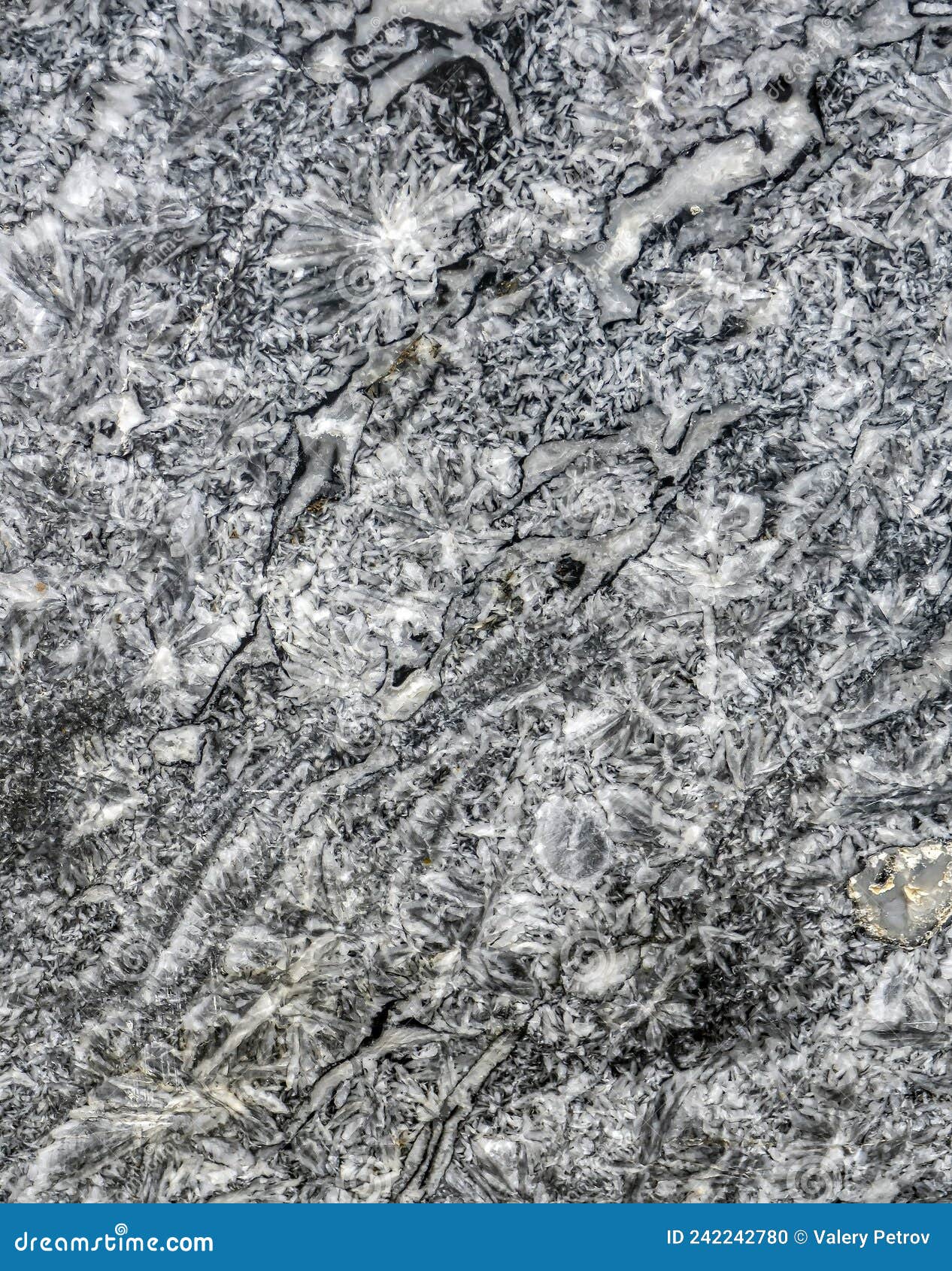 Texture of the Polished Magnesite Tile Surface Stock Photo - Image of ...