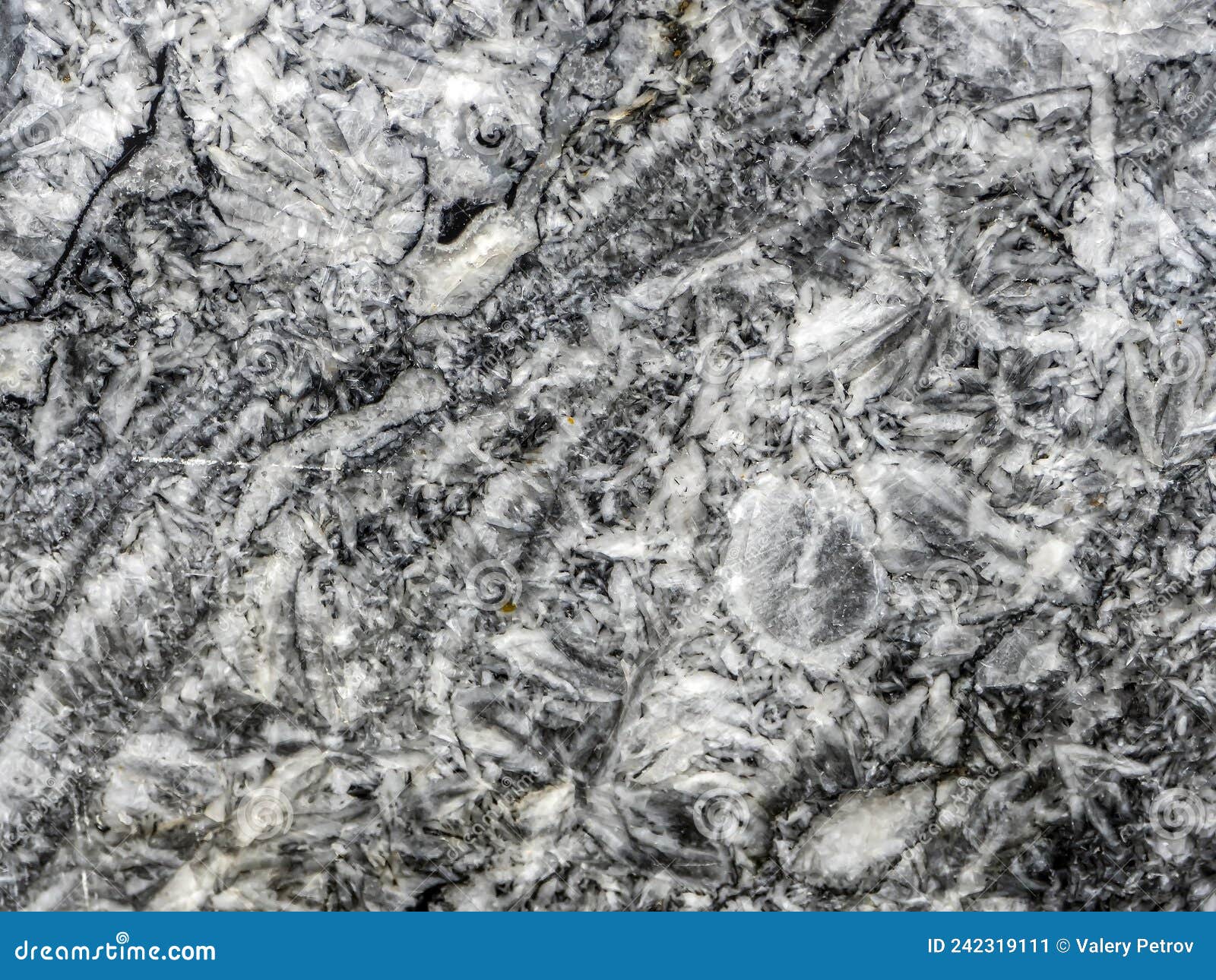 Texture of the Polished Magnesite Tile Surface Stock Image - Image of ...