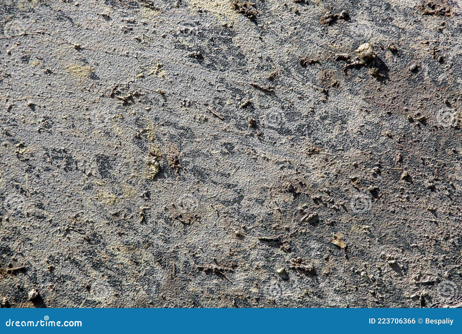 Surface Texture Smeared With Swamp Illuminated By Sunlight. Stock ...