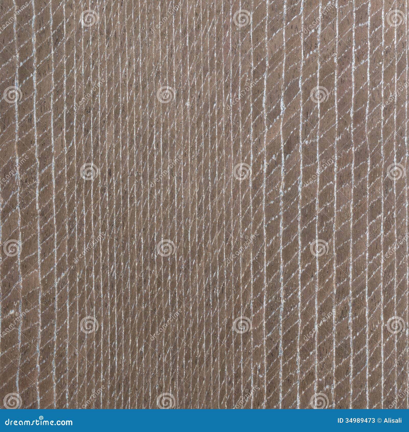 Surface Texture Snake Tree Royalty-Free Stock Photography ...