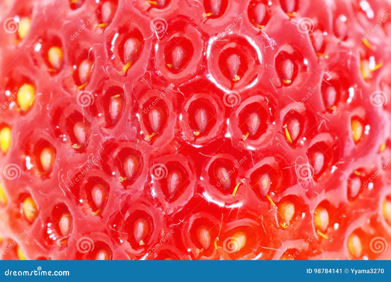 Surface Texture of Strawberry Stock Image - Image of surface, close ...