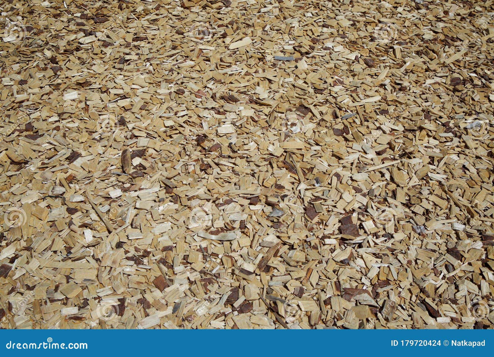 Surface Texture with Wood Sawdust Stock Photo - Image of particles ...