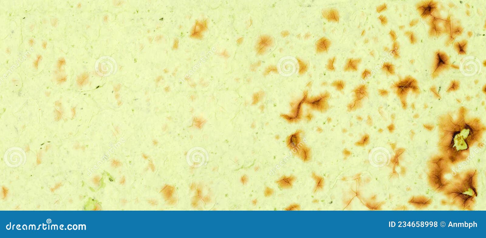 Thin Flat Bread Royalty-Free Stock Photography | CartoonDealer.com ...