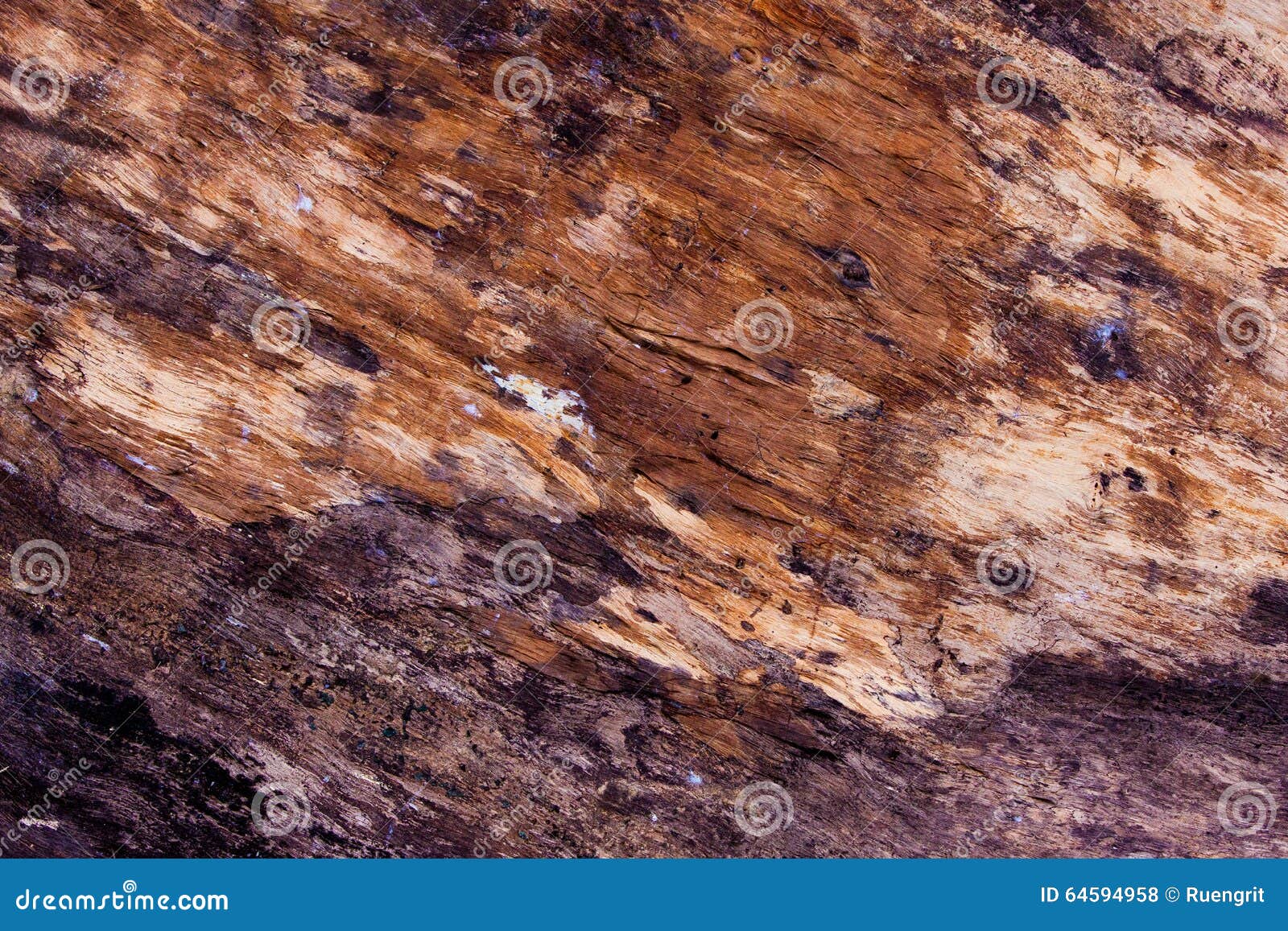 Surface of Timber Background,wood Background. Stock Photo - Image of ...