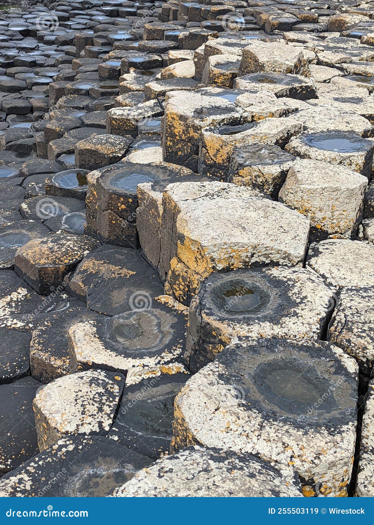 Surface of the Top of Basalt Columns Stock Image - Image of stone ...