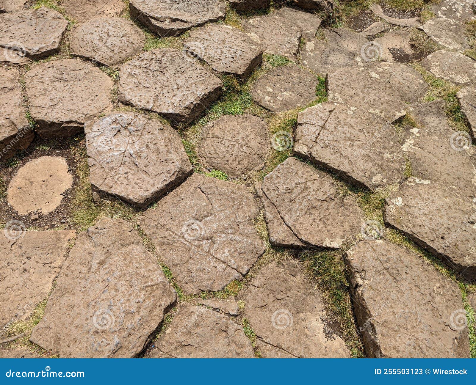 Surface of the Top of Basalt Columns Stock Image - Image of grunge ...
