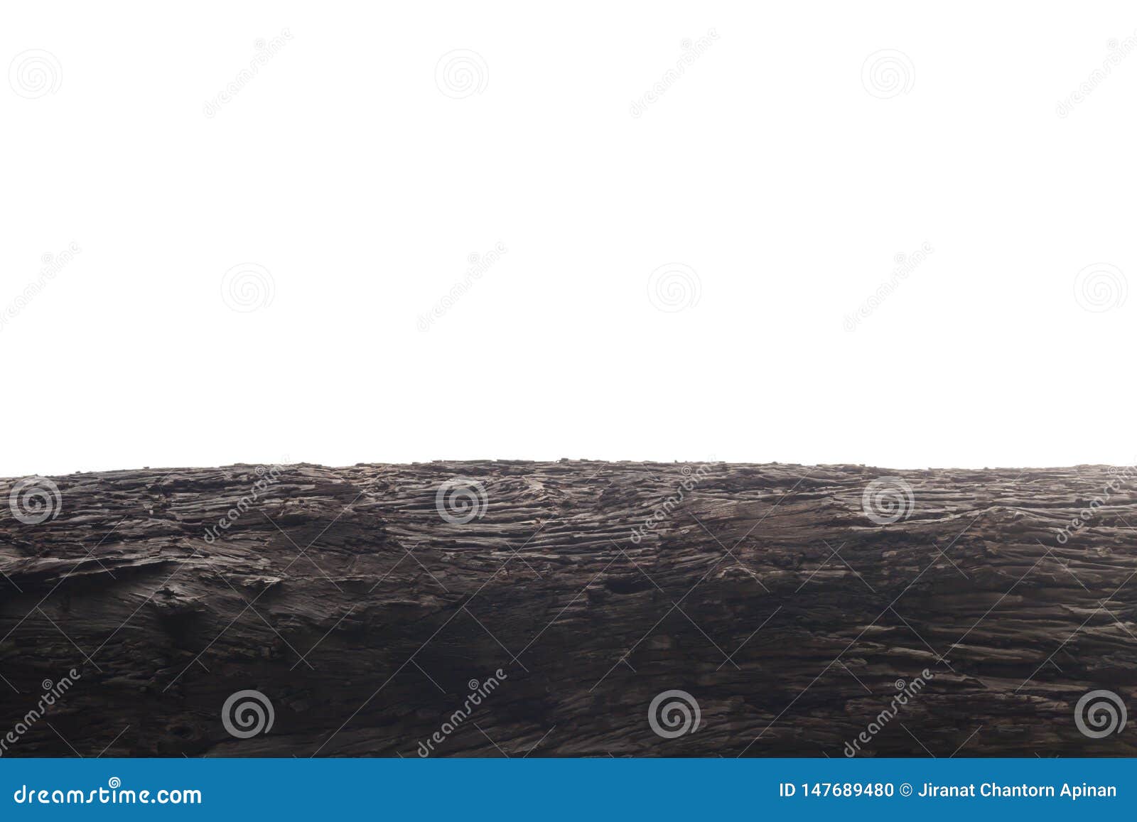 Surface of tree log stock photo. Image of nature, natural - 147689480