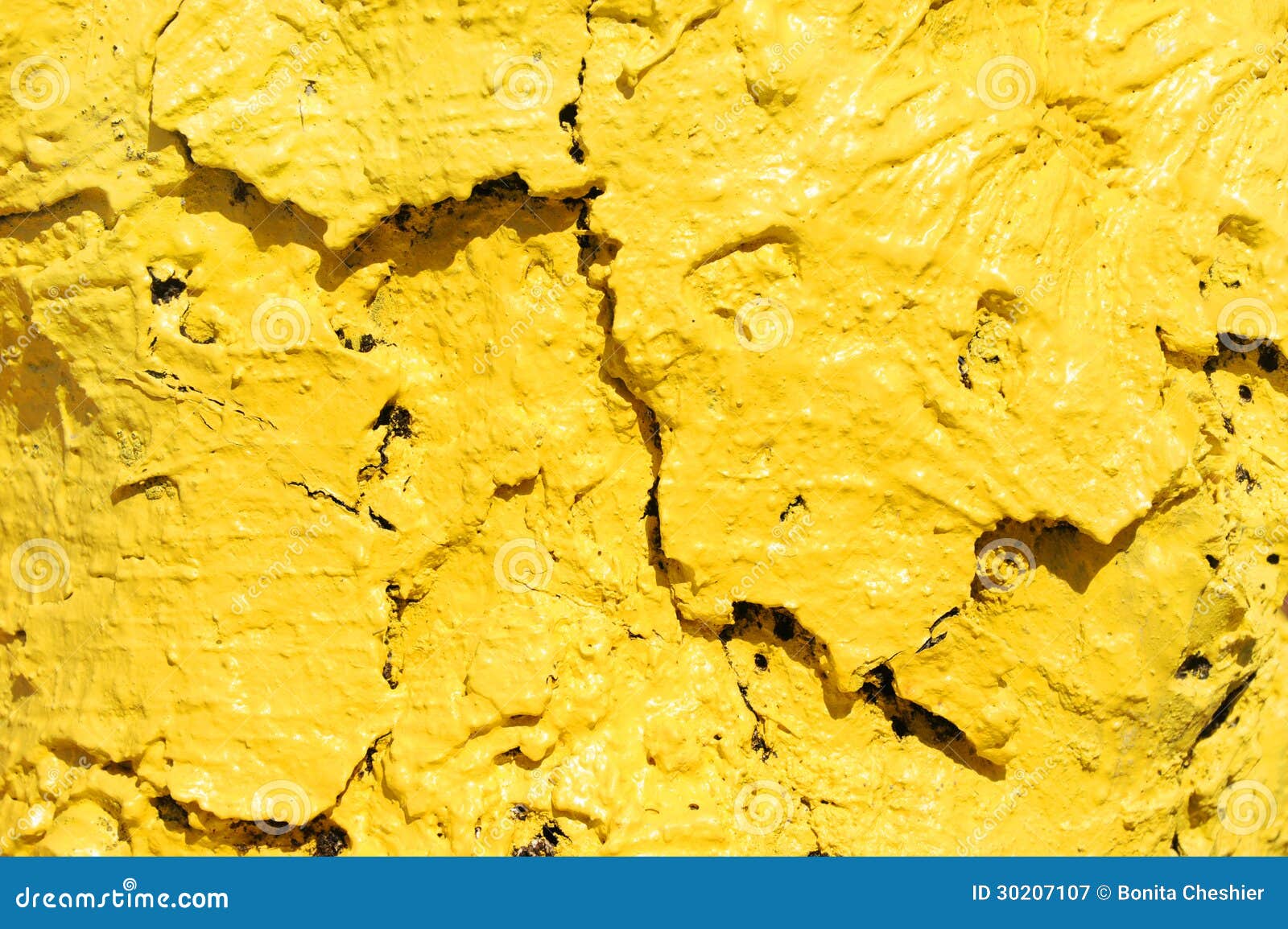 Bright Yellow Bark stock image. Image of vibrant, vivid - 30207107