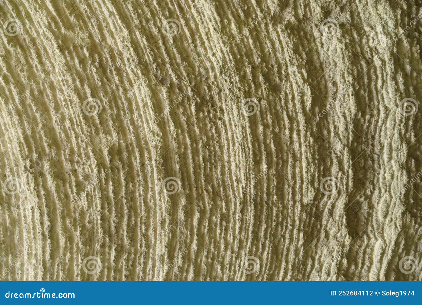 The Surface of the Wall of Natural Shell Rock in the Mine for the ...
