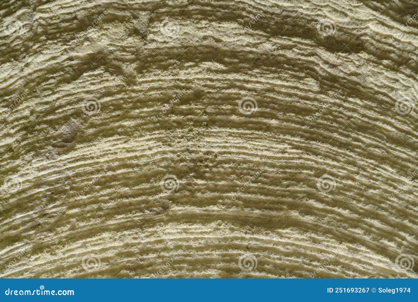 The Surface Of The Wall Of Natural Shell Rock In The Mine For The ...