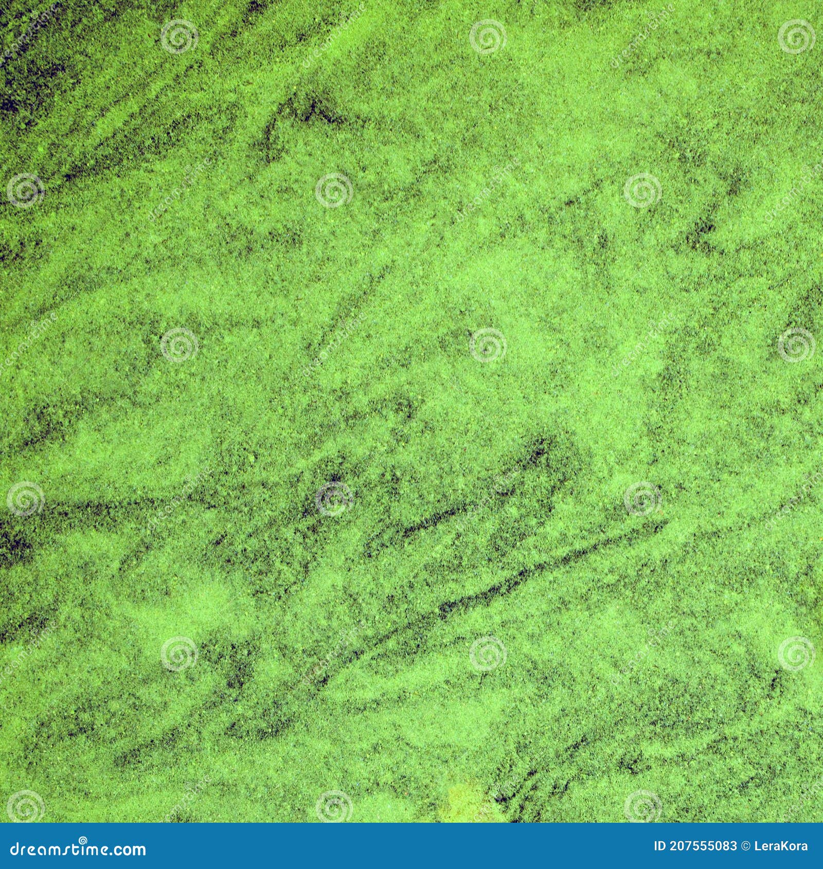 The Surface of the Water is Covered with Green Algae and Mud Stock ...