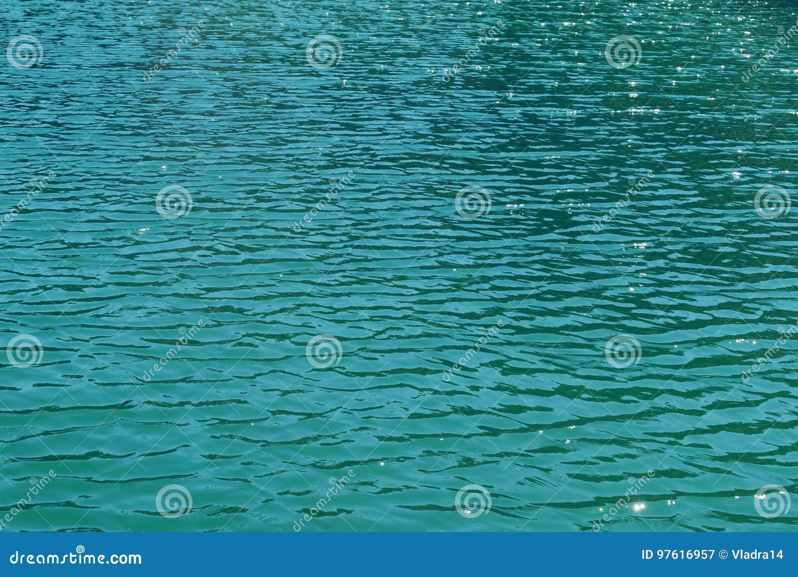 The Surface Water of the Lake Stock Image - Image of sunshine, green ...