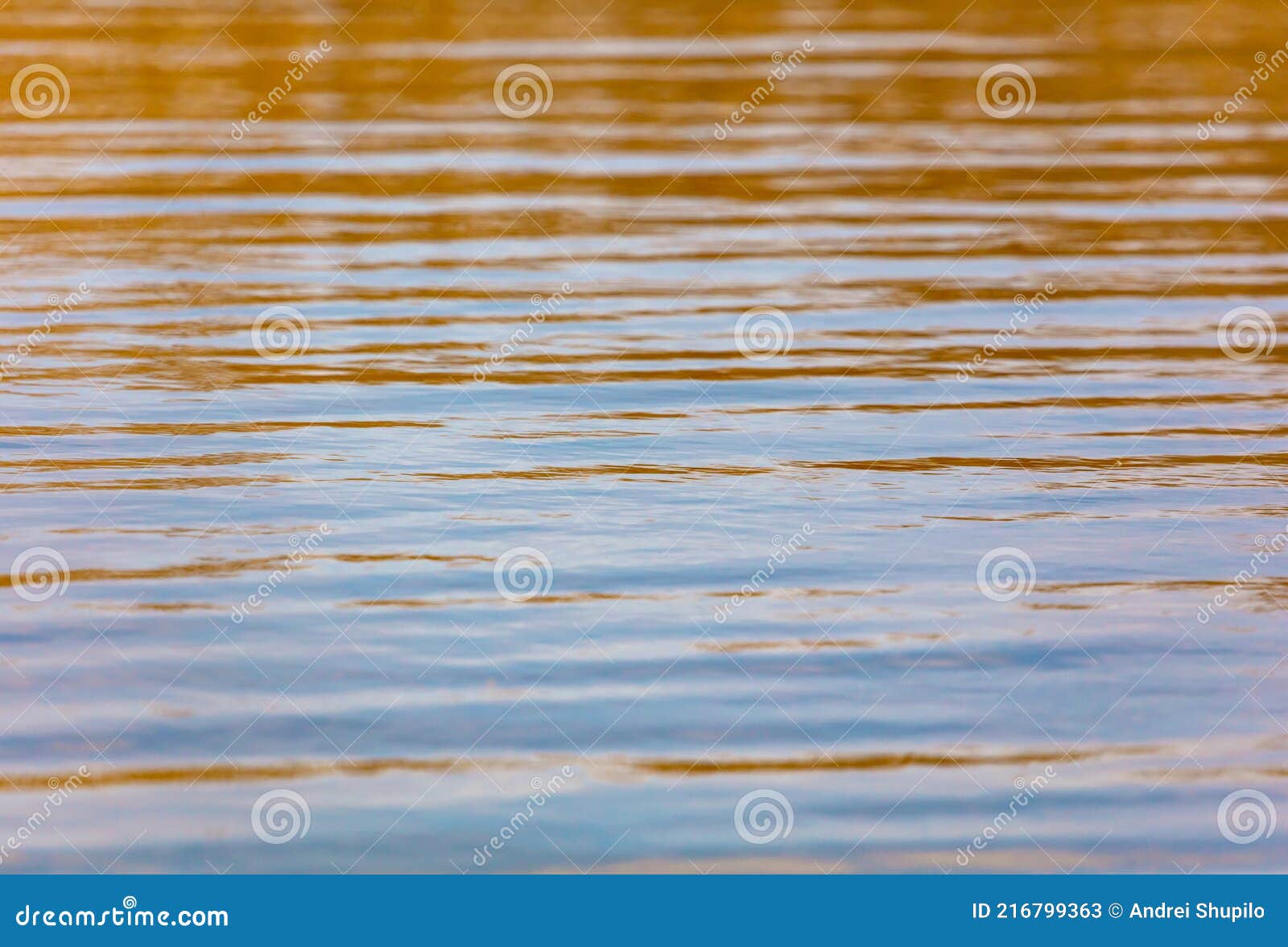 The Surface of the Water in the Pond As an Abstract Background. Stock ...