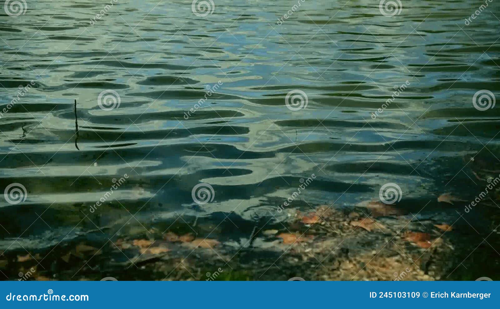 Rippled Water Surface of a Lake Stock Video - Video of motion ...
