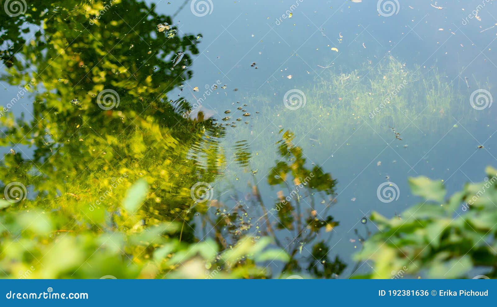Ripples Of A Hot Spring Stock Photography | CartoonDealer.com #80516030