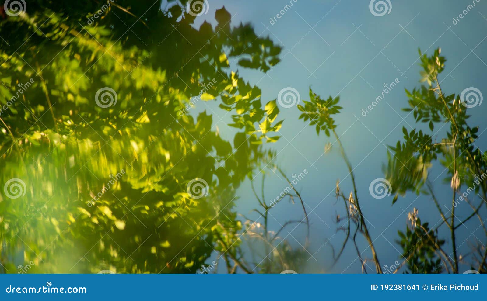 Ripples Of A Hot Spring Stock Photography | CartoonDealer.com #80516030