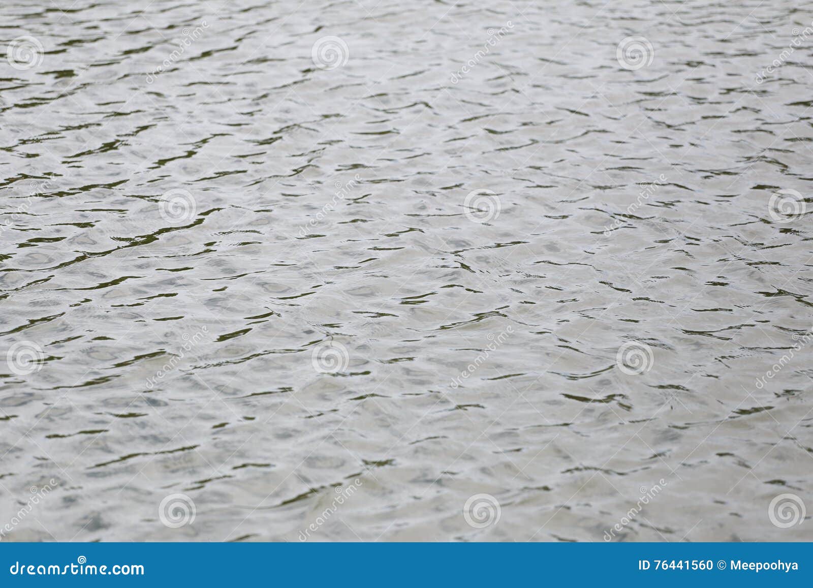 Surface of the Water in a Pond Ripple Small. Stock Photo - Image of ...