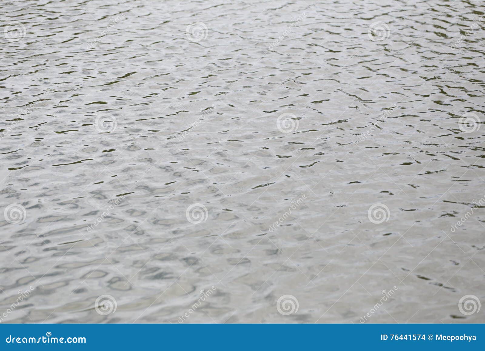 Surface of the Water in a Pond Ripple Small. Stock Photo - Image of ...
