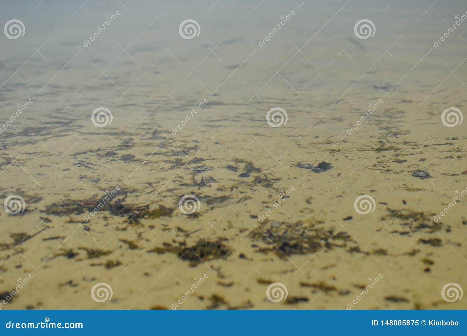 Surface of the Water at the Pond Stock Image - Image of circle ...
