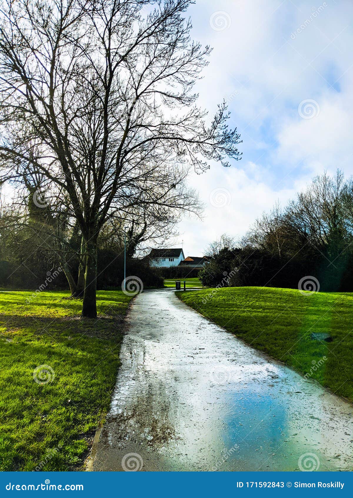 Surface Water Reflection on Path Stock Image - Image of path ...