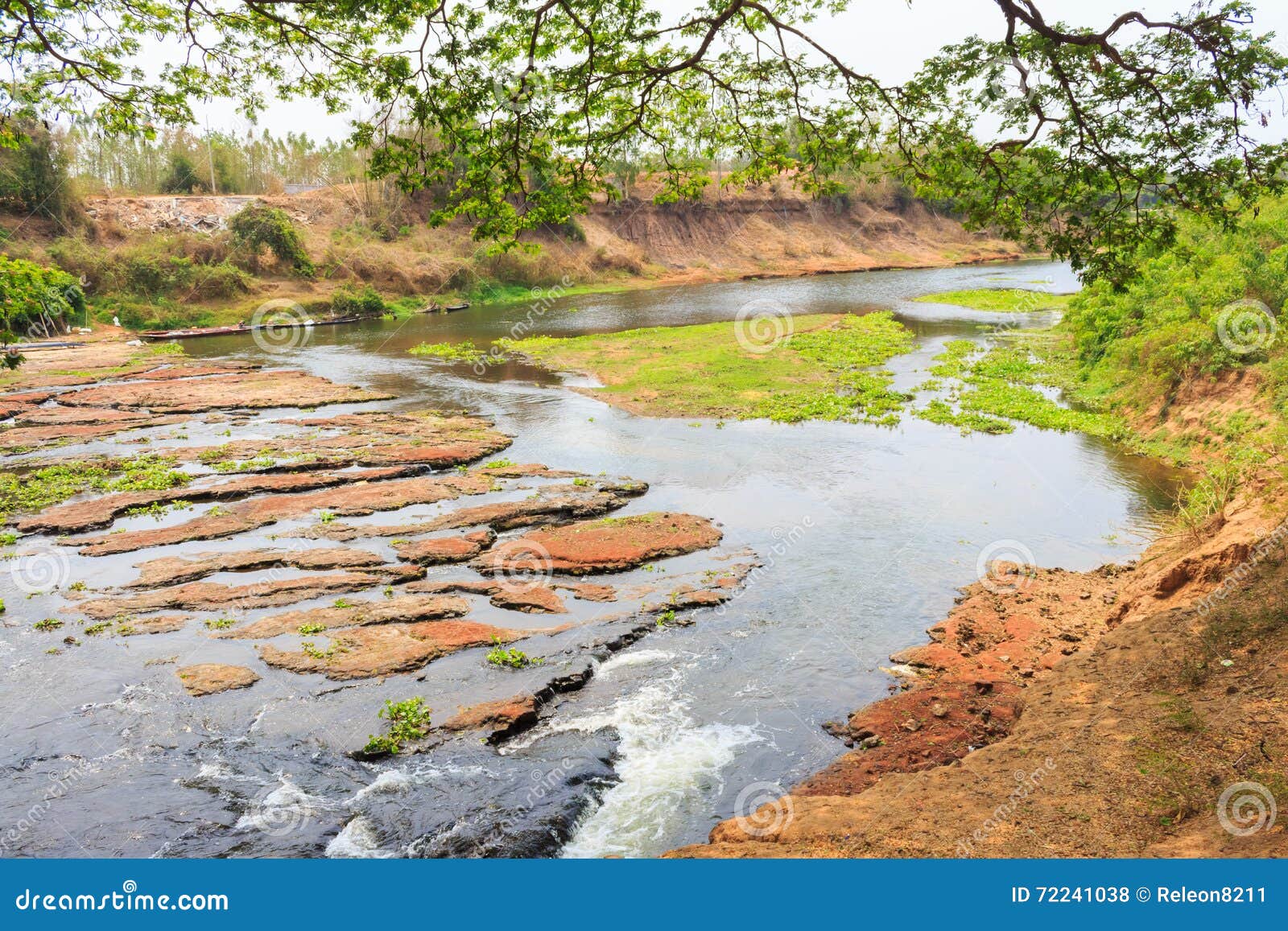 Surface water. stock photo. Image of dirt, land, foliage - 72241038