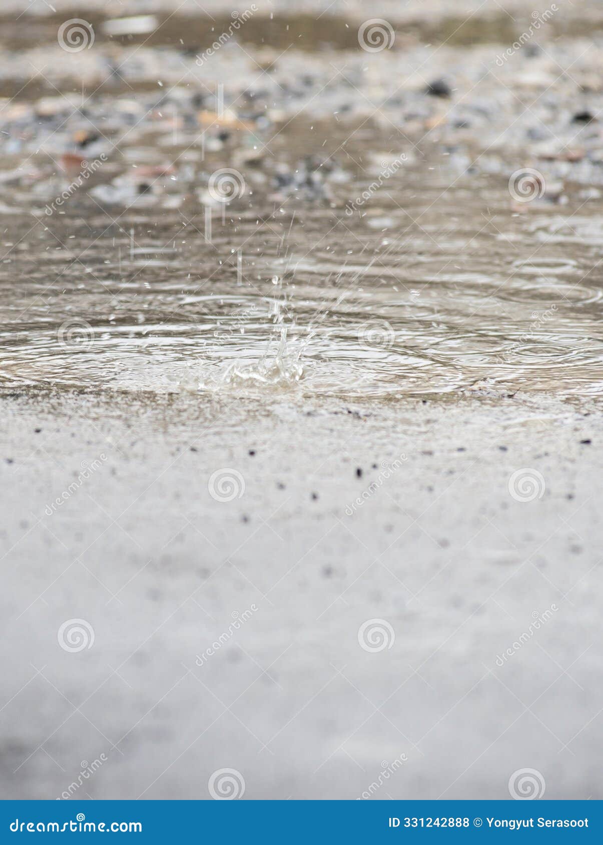 Surface of the Water Ripple, Splashe and Move Stock Photo - Image of ...