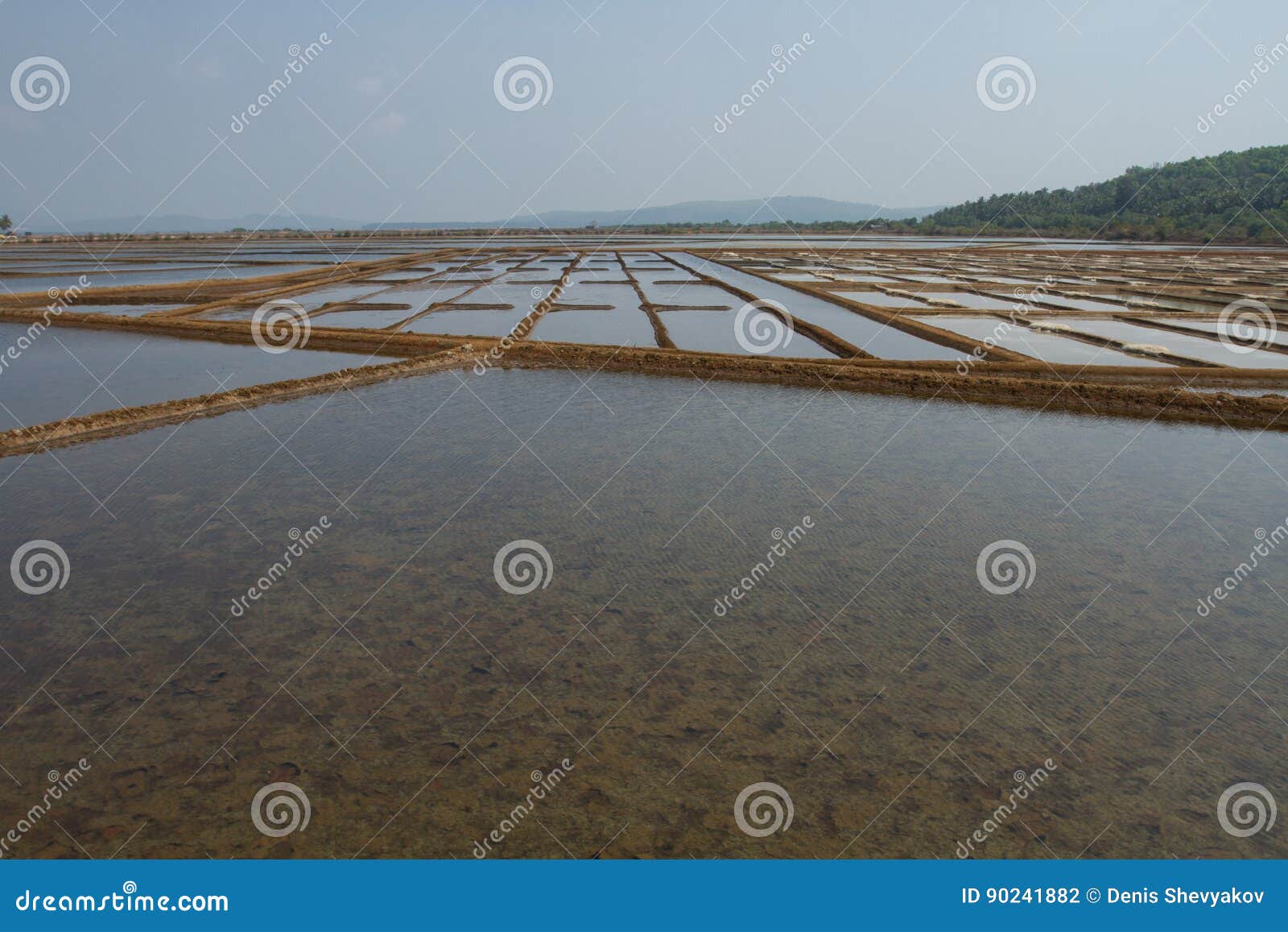 Surface of Water. the Territory of the Factory for the Extraction of ...