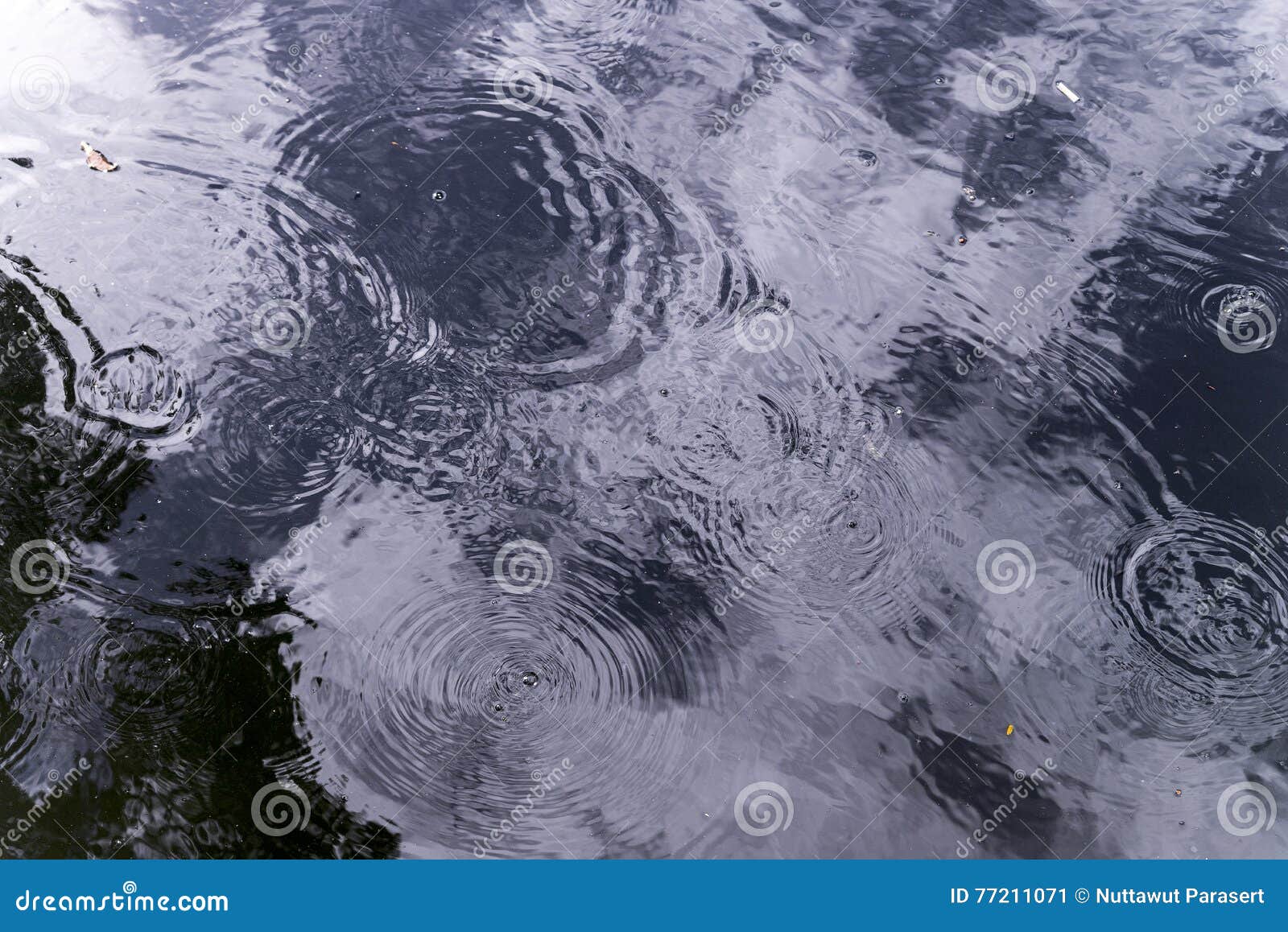 Surface Wave in Toxic Water, Sewage, Pollution S Environment Stock ...