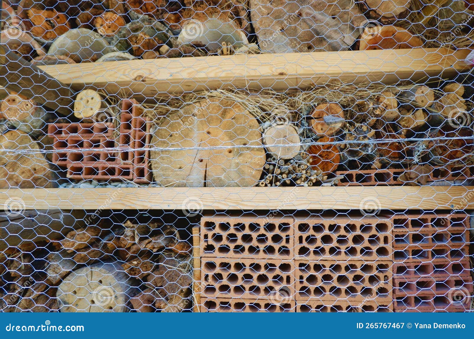 Surface of Wild Insects Hotel in the Forest. Conceptual Idea for Bees ...