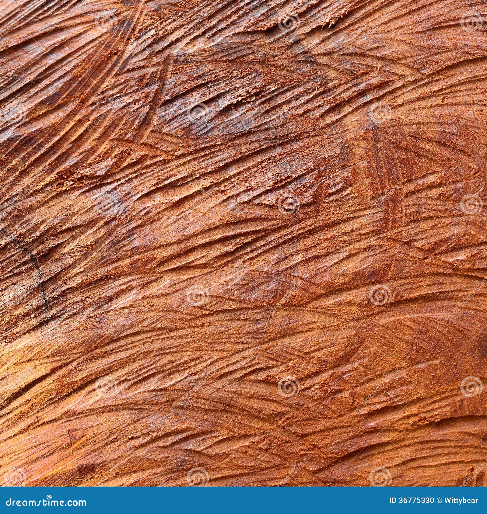 Surface Wood Log Texture Background Stock Photo - Image of ring ...