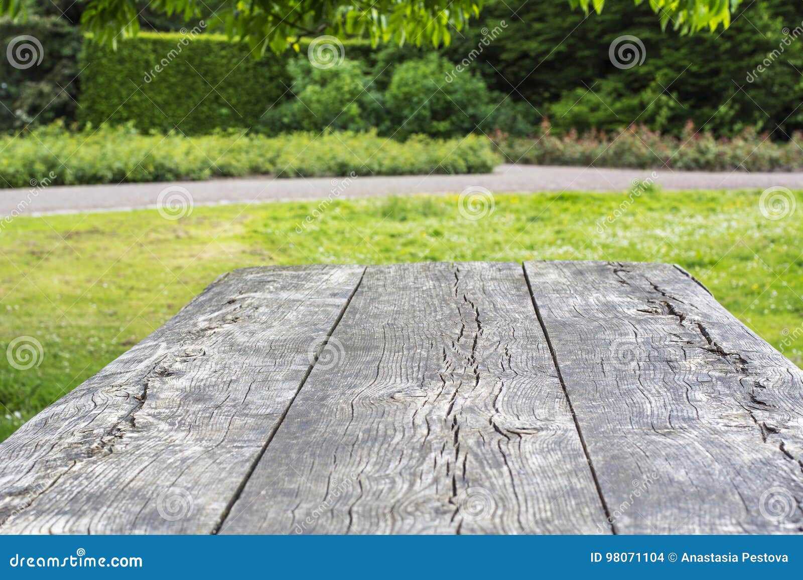 Surface of Wooden Table with Cracks Stock Photo - Image of trees, grass ...