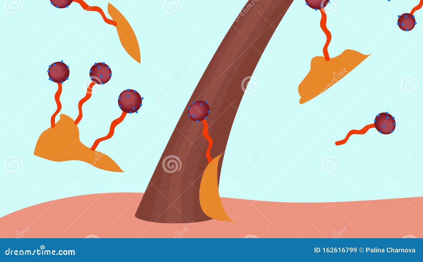 A Surfactant Molecule Cleanses Scalp and Hair from Sebum. so we Work ...