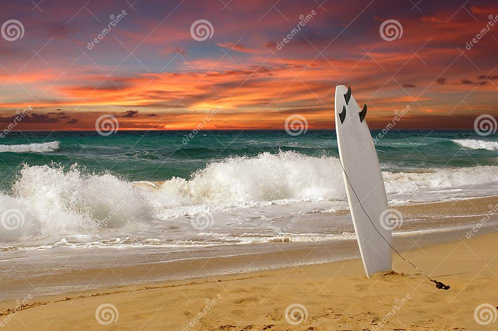 Surfboard stock image. Image of vacation, paddle, surfboard - 24085449
