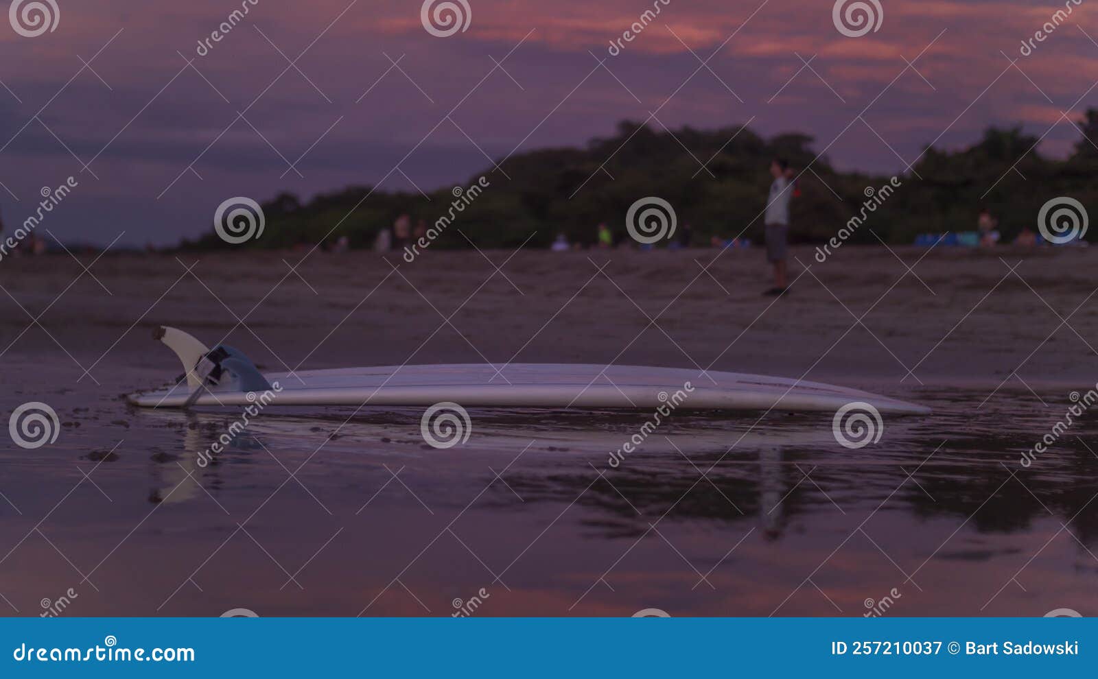Surfboard on the Beach at Sunset Stock Image - Image of sunset, dark ...