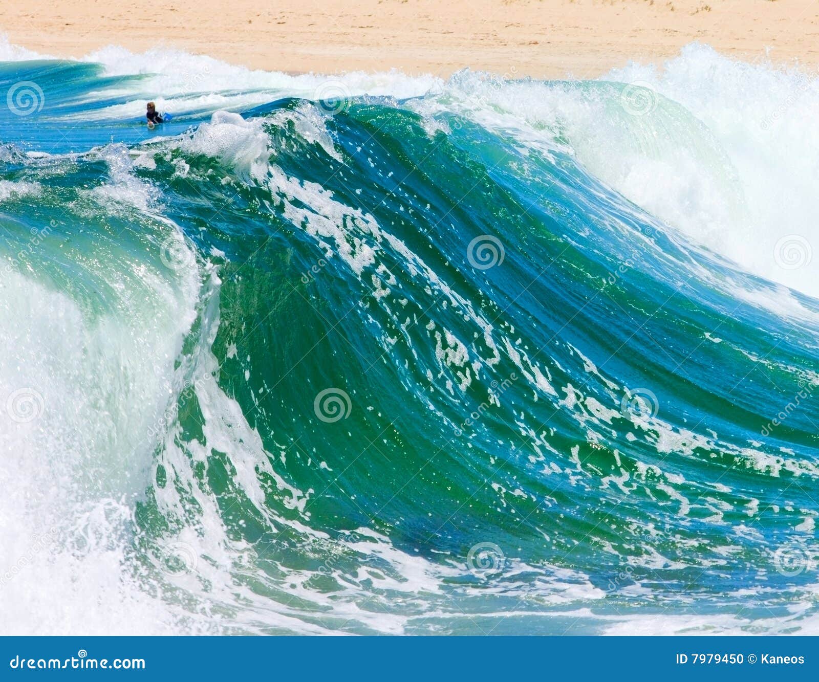 Surfende Wellen stockfoto. Bild von draussen, strand, sport - 7979450