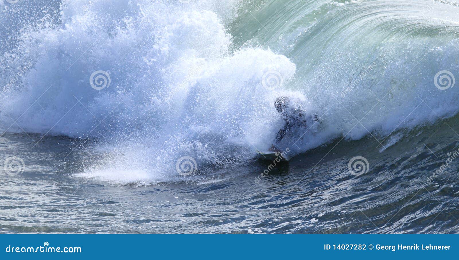 Surfer stock photo. Image of motion, spray, active, sport - 14027282