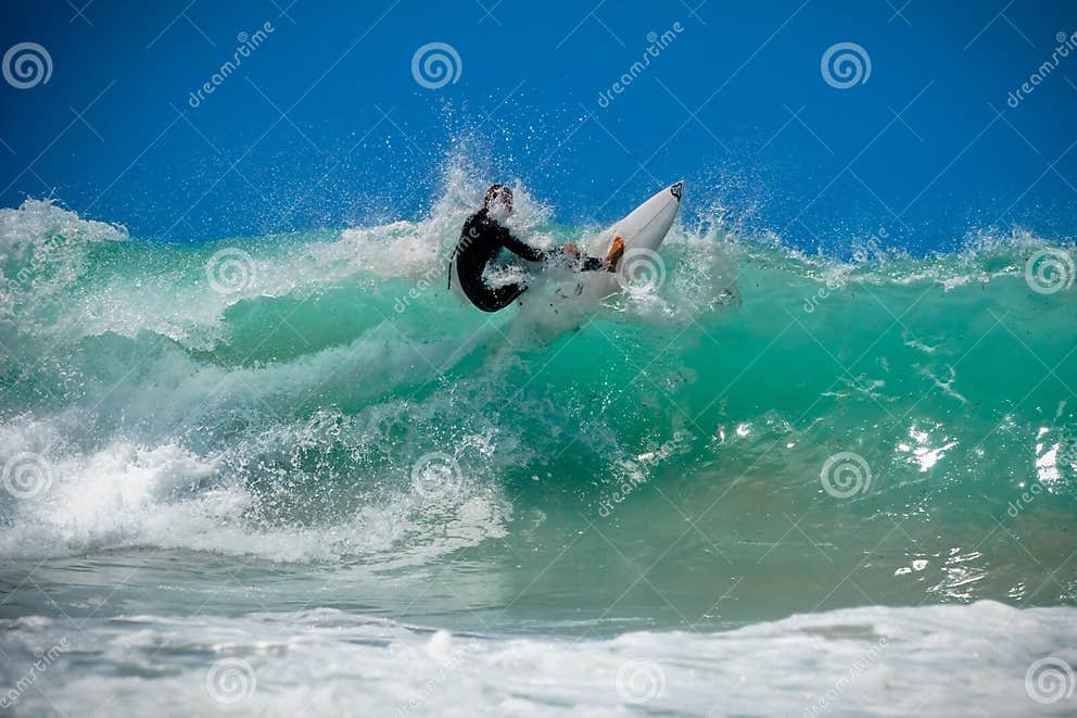 Surfer on an amazing wave stock photo. Image of liquid - 5776552