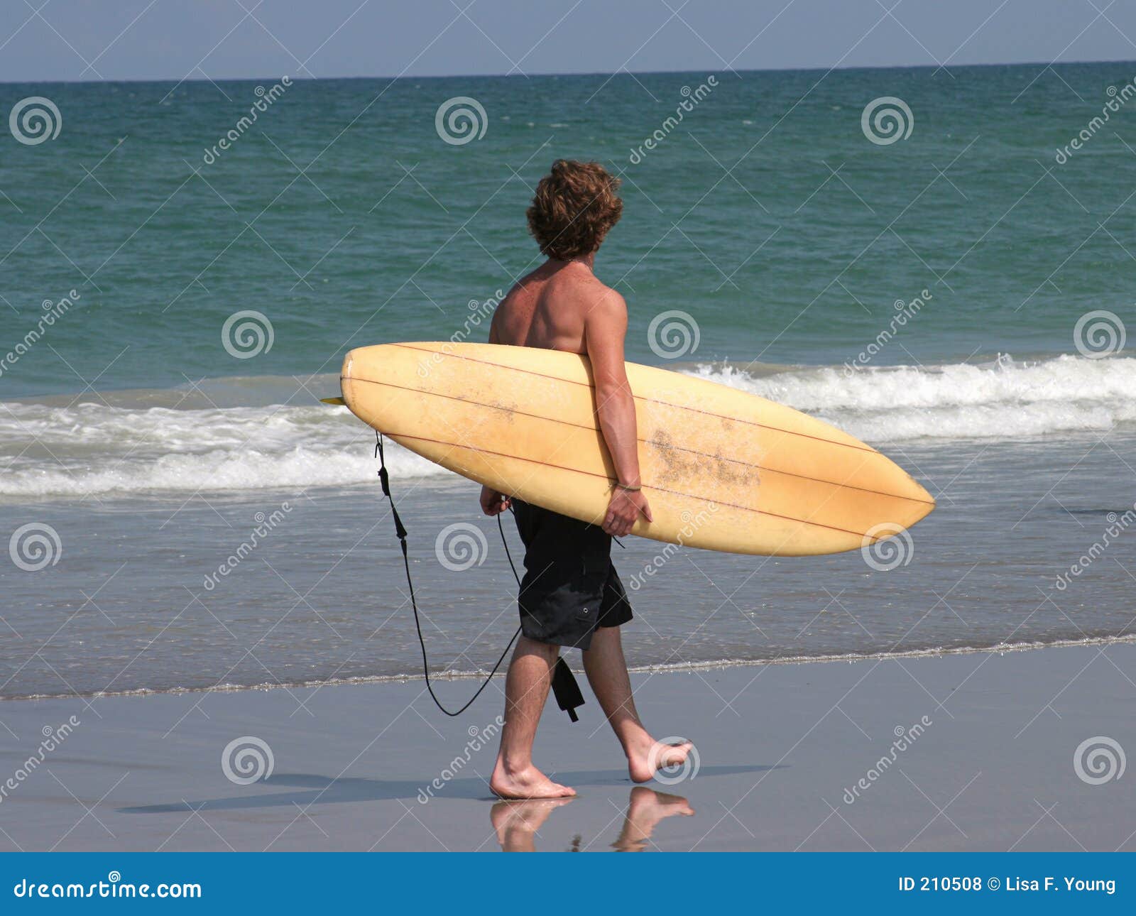 Surfer on Beach stock photo. Image of attractive, handsome - 210508