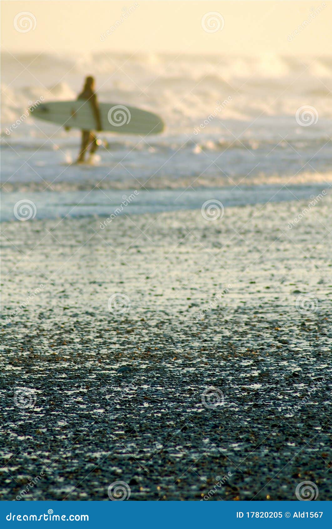 Surfer in the distance stock image. Image of exotic, scallop - 17820205