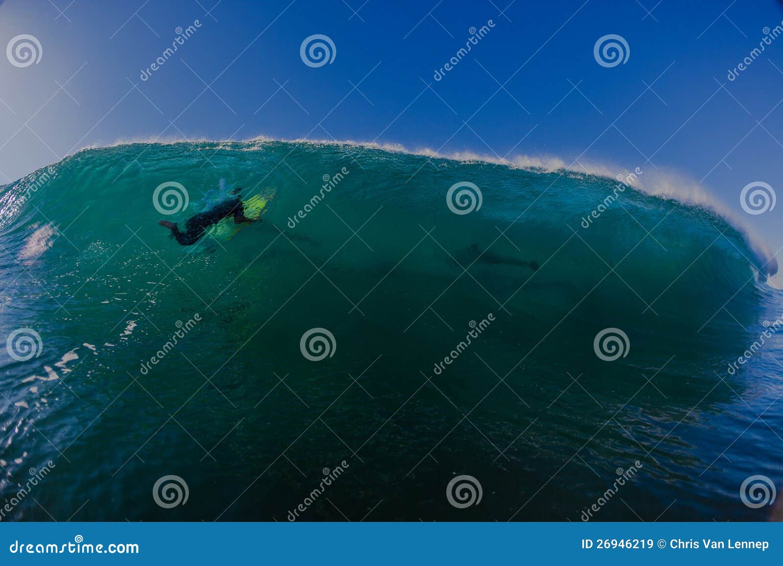 Surfer Dolphins Submerge Wave Editorial Stock Image - Image of dolphins ...