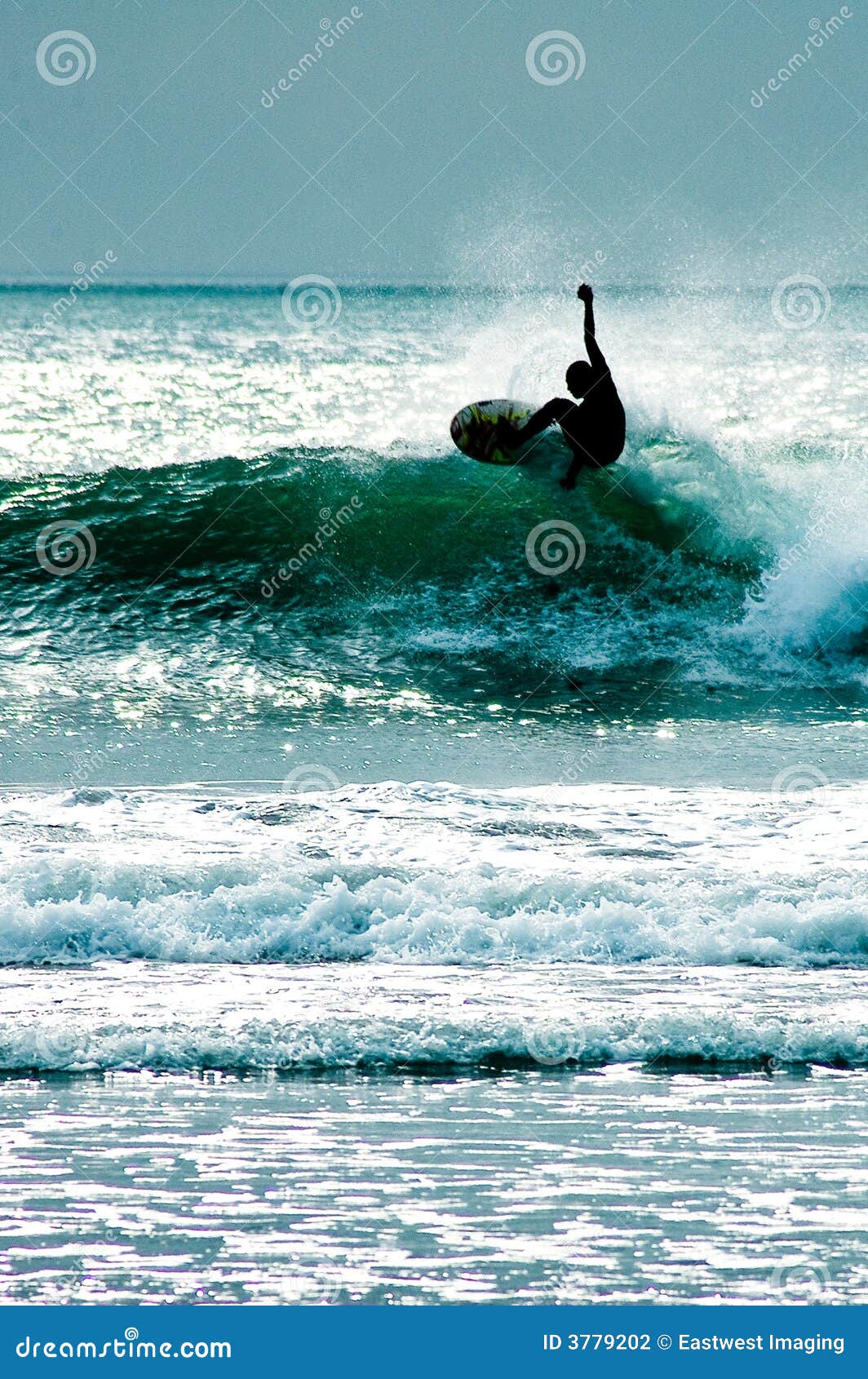 Surfer Dude stock photo. Image of cutback, spalsh, speed - 3779202
