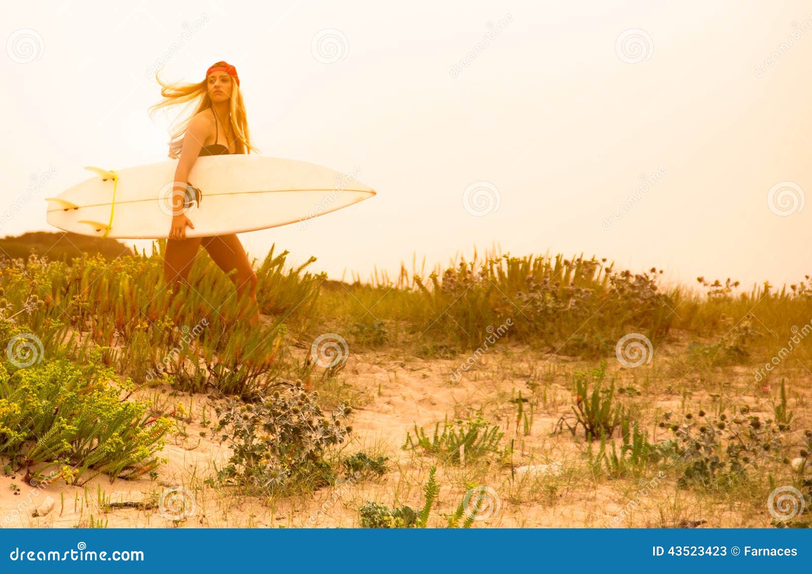 Surfer girl stock image. Image of pretty, surfboard, beauty - 43523423