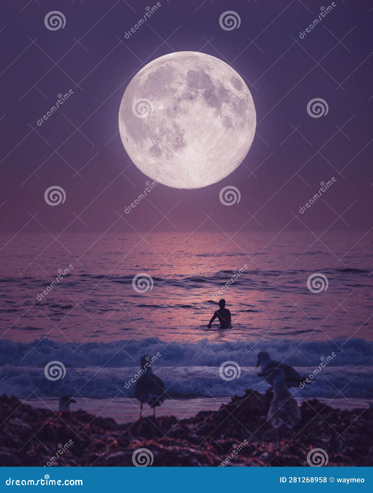Surfer S Moon - Ocean Landscape with Bright Super Moon and Seagulls ...