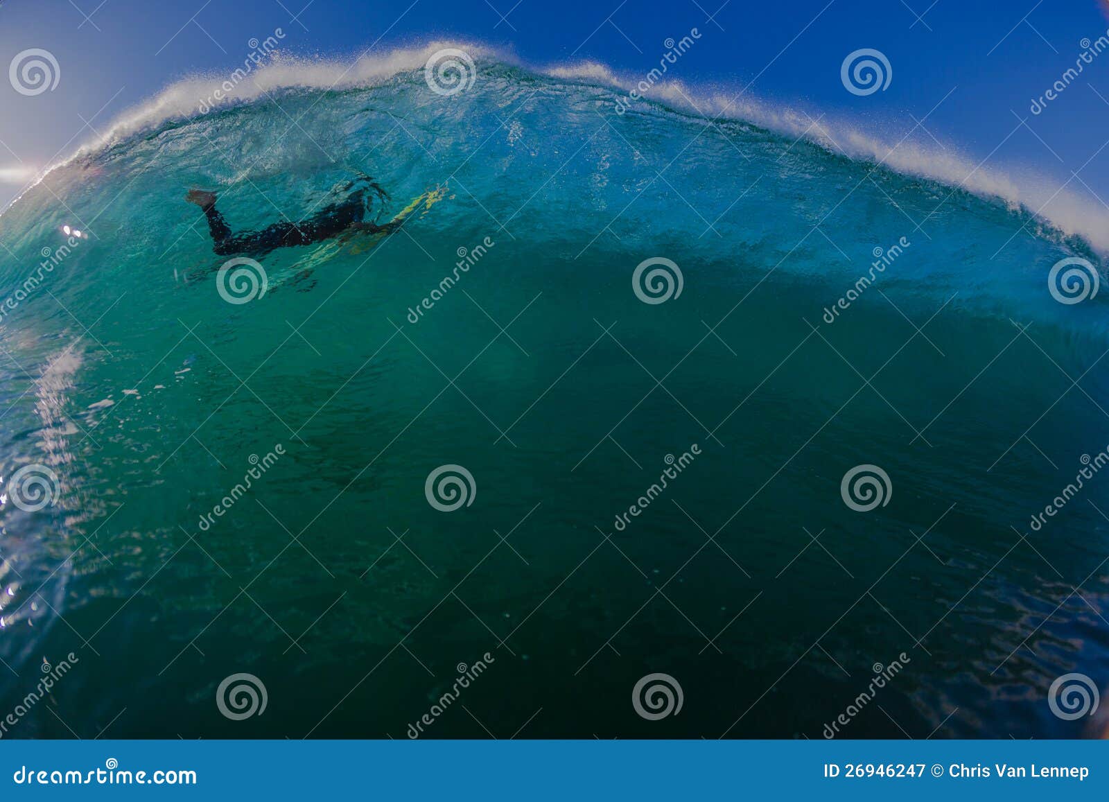 Surfer Submerged Wave Dolphins Editorial Photography - Image of upright ...